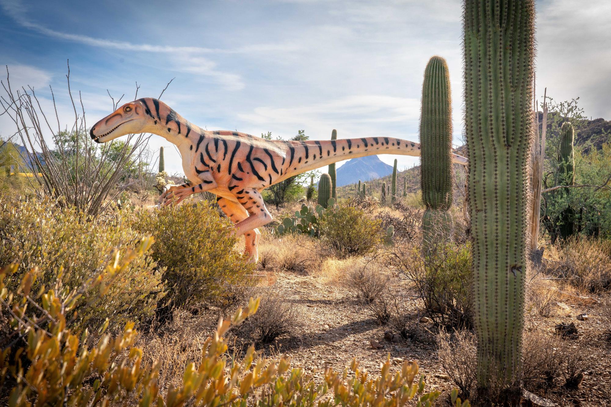 The Arizona-Sonora Desert Museum brings dinosaurs to the desert – The ...