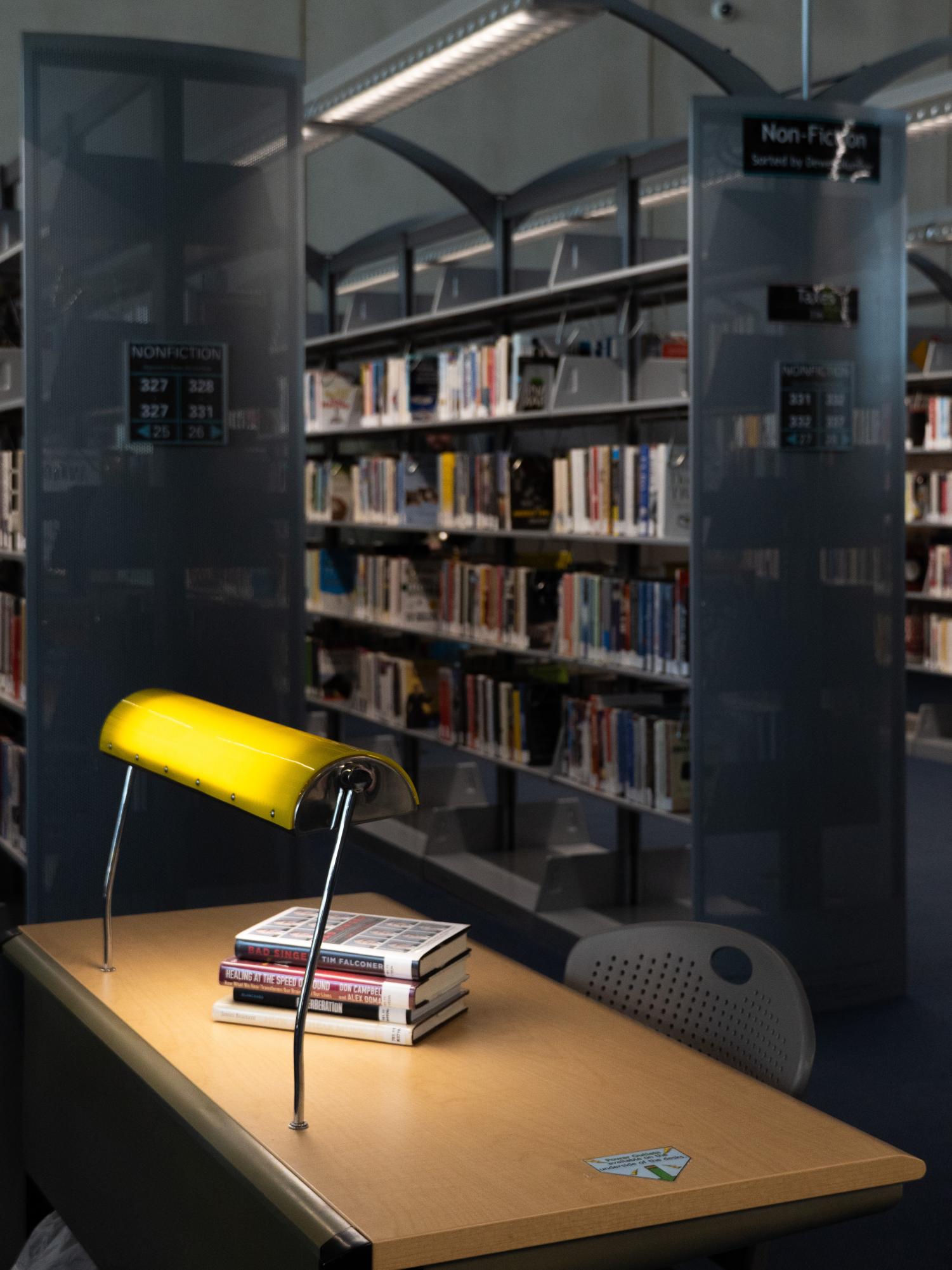 OPINION: An ode to public libraries – The Daily Wildcat